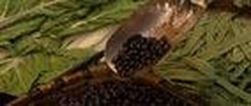 Made in Spain | Cooking Shows | PBS Food