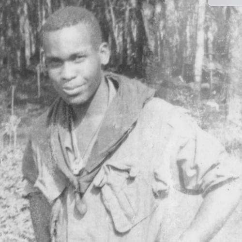 American Veteran: Veterans
