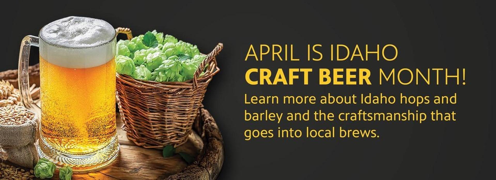 Discover the Ingredients and Science Behind Idaho Beer