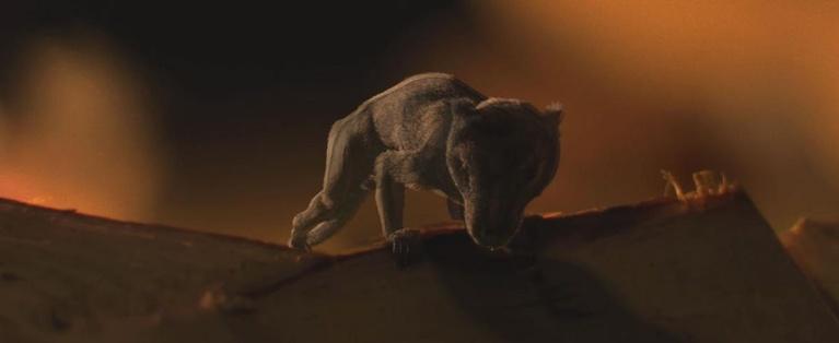 Watch Your Inner Fish