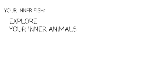 Watch Your Inner Fish