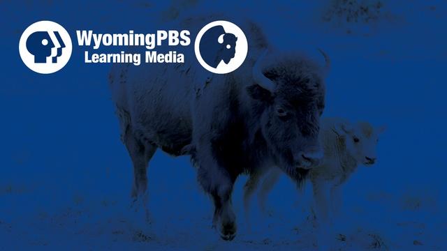 WyomingPBS Home