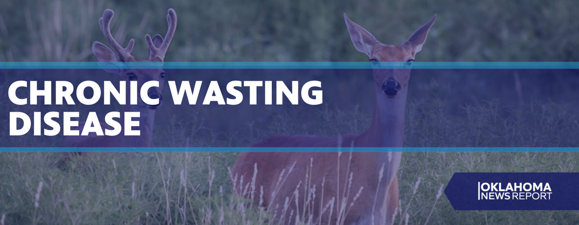 Chronic Wasting Disease