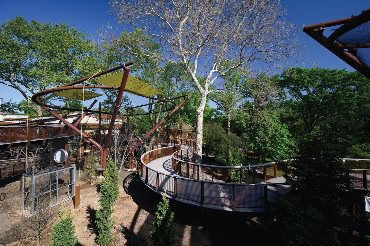 Primate Canopy Trails Opens at Saint Louis Zoo