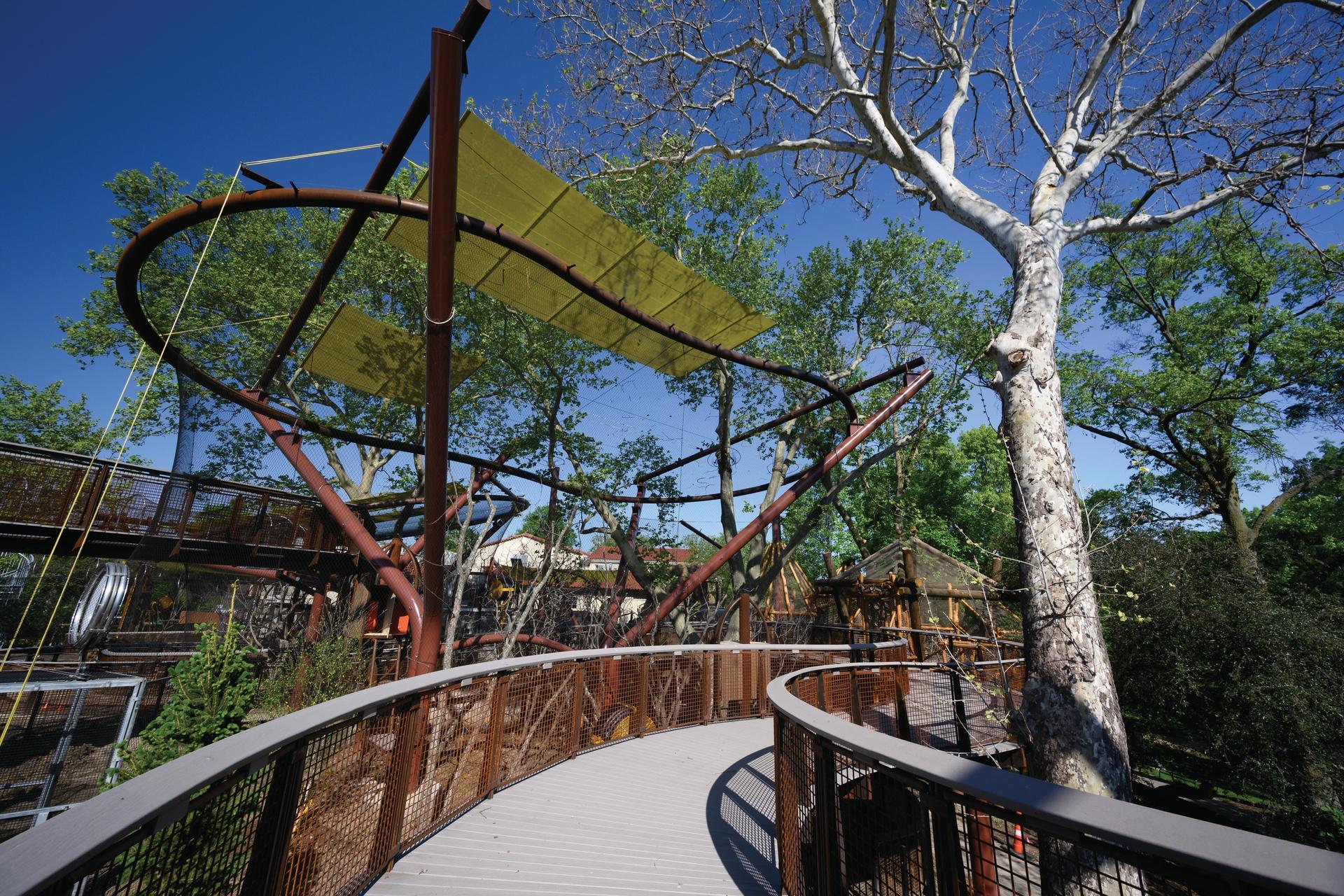 Primate Canopy Trails Opens at Saint Louis Zoo
