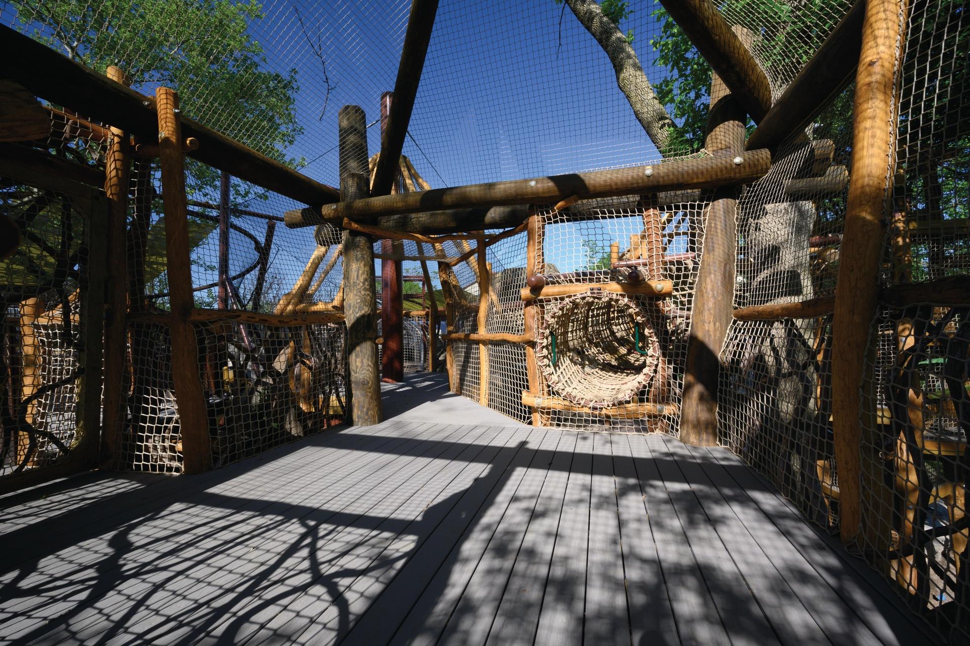 Primate Canopy Trails Opens at Saint Louis Zoo