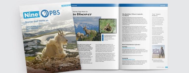 Nine PBS Magazine | November/December 2021