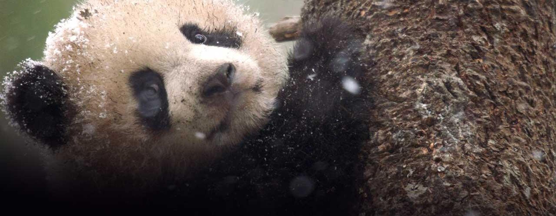 KLRN is PBS. No one else does what we do.