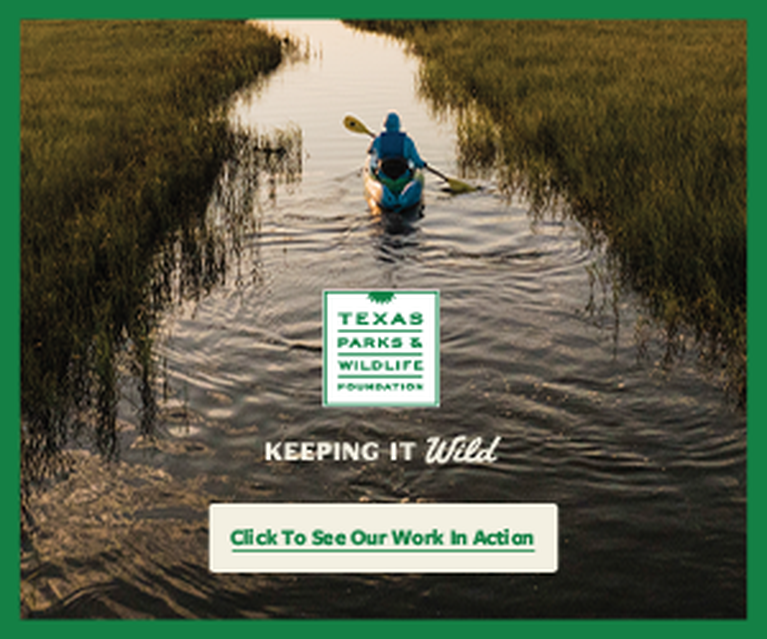 KLRN TV | Using the power of media to inform, entertain and inspire