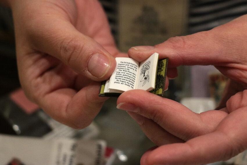 Big passions for small things: Colorado's miniaturist community