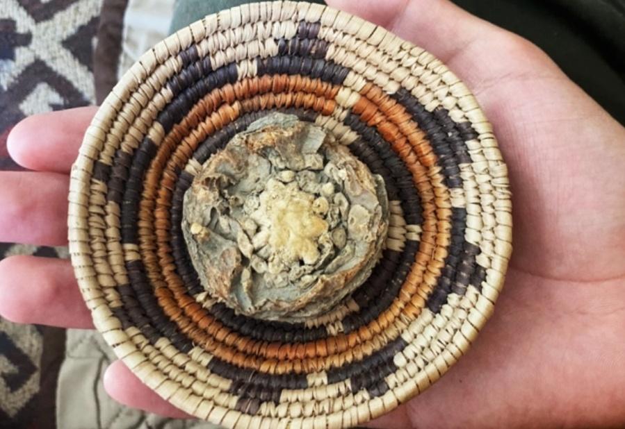 How peyote — used as a ceremonial, legal medicine — helped heal one ...