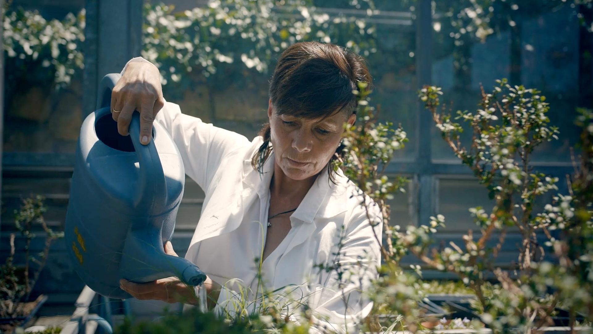 H2O: The Molecule That Made Us Episode 1: Pulse