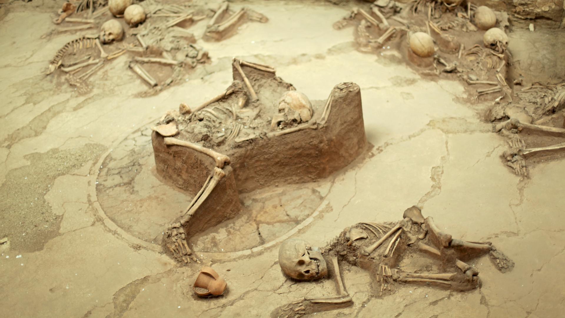 H2O: The Molecule That Made Us Episode 1: Civilizations