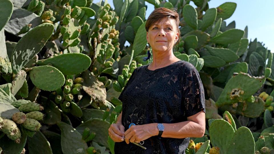 H2O: The Molecule That Made Us