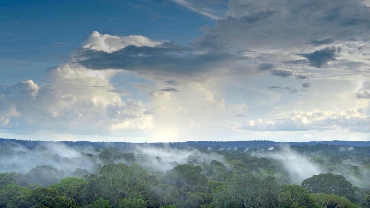 H2O: The Molecule That Made Us Episode 1: Pulse