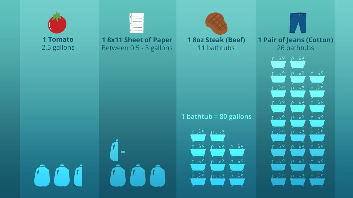 What is Your Water Footprint?