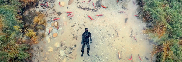 H2O: The Molecule That Made Us