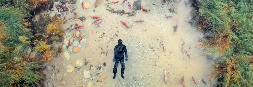 H2O: The Molecule That Made Us