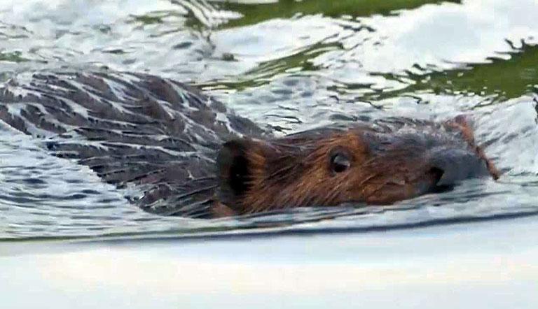 Maryland Public Television: MPT