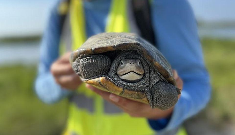 Maryland Public Television: MPT