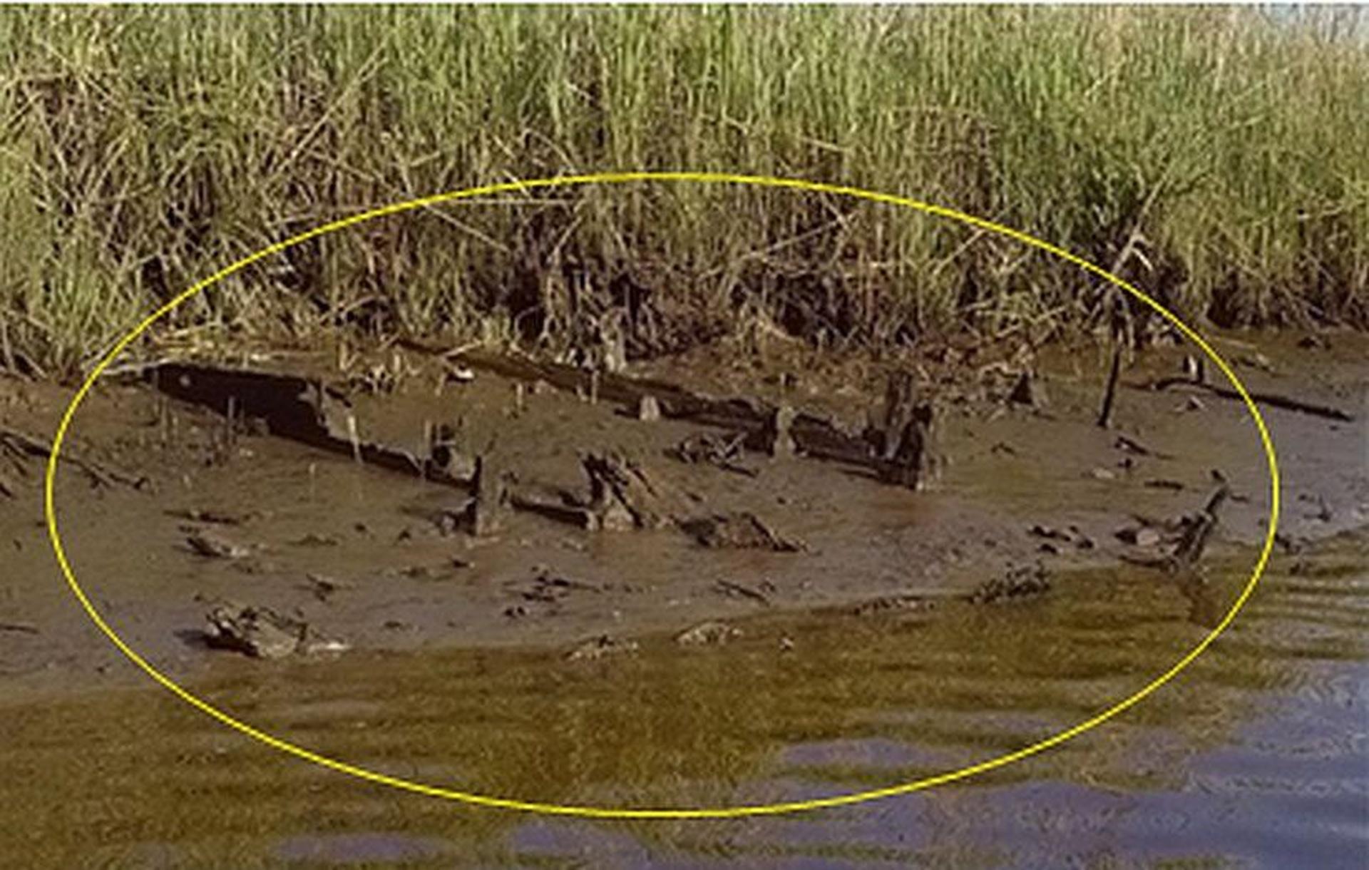 Documenting Gullah Geechee History on NC’s Coast | PBS North Carolina