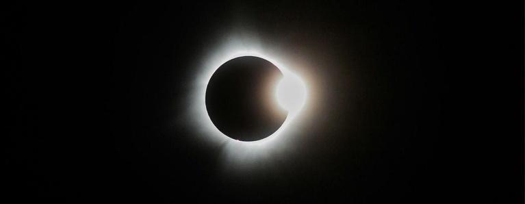 Why Do Animals Get Stressed During Eclipses? | PBS North Carolina