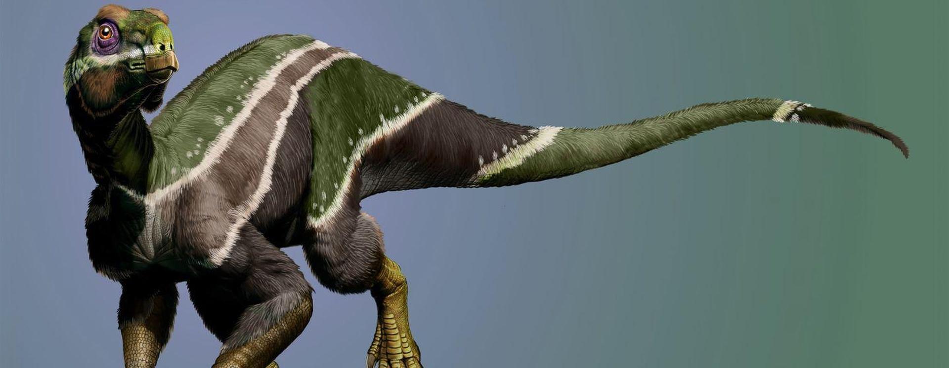 NC State Researcher Discovers New, Unique Plant-Eating Dinosaur | PBS ...