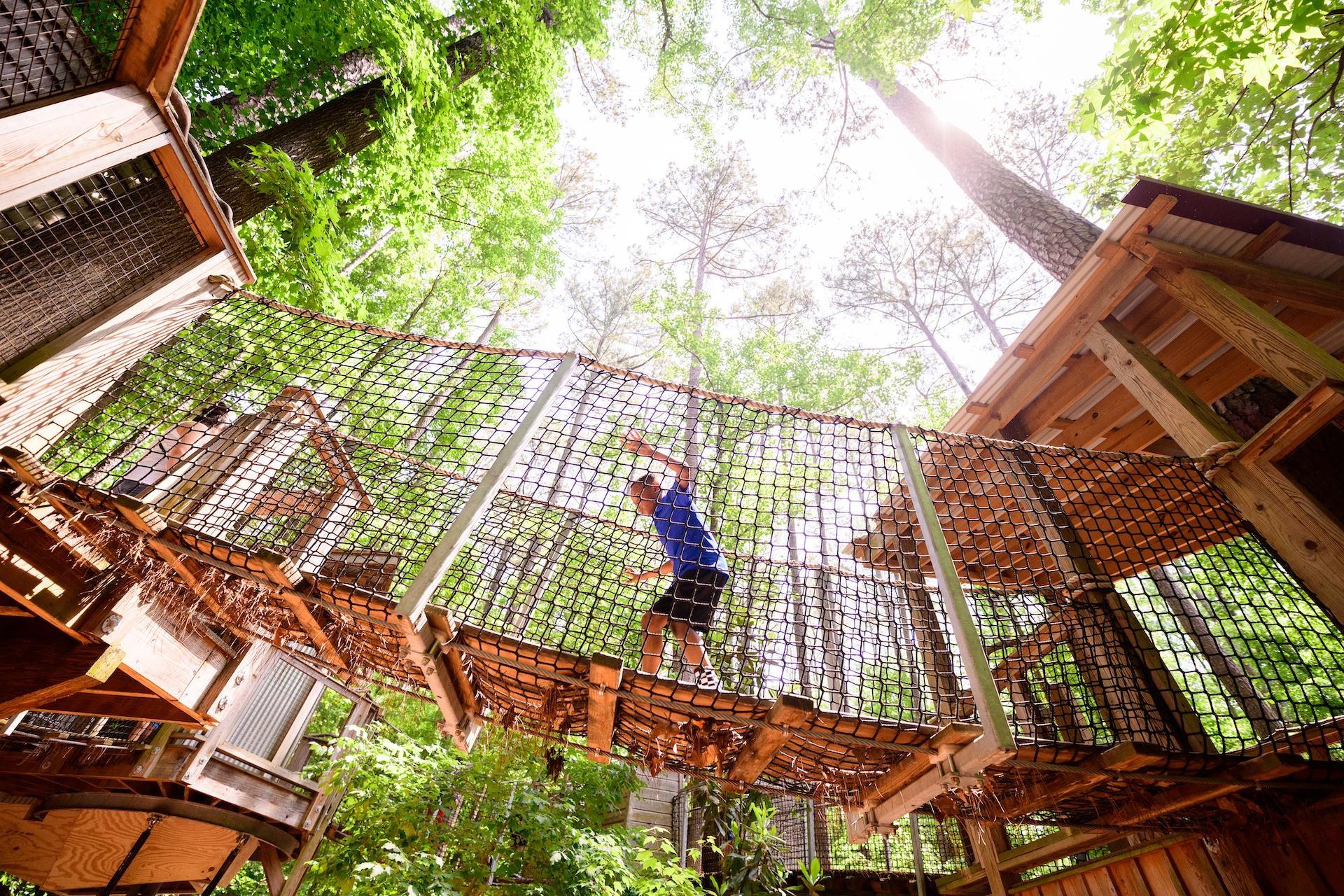 Explore the New NC Science Trail | PBS North Carolina