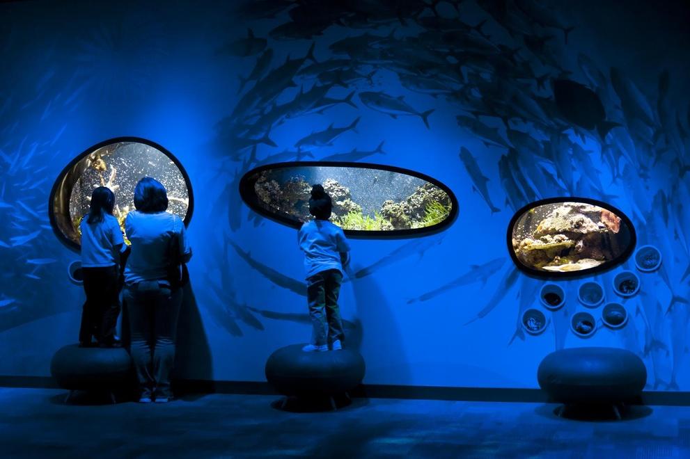 Explore the New NC Science Trail | PBS North Carolina