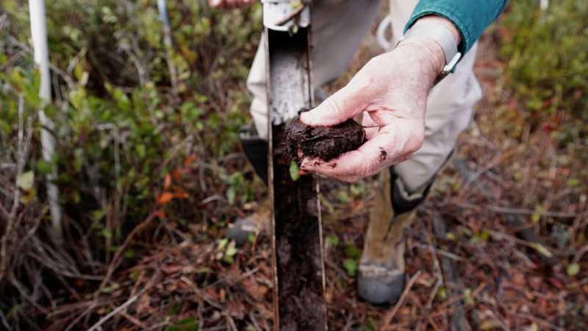 Peatland Potential | PBS North Carolina