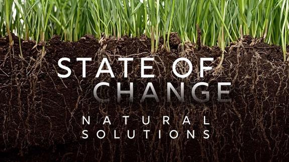 How Planting Grasslands Fights Climate Change Pbs North Carolina