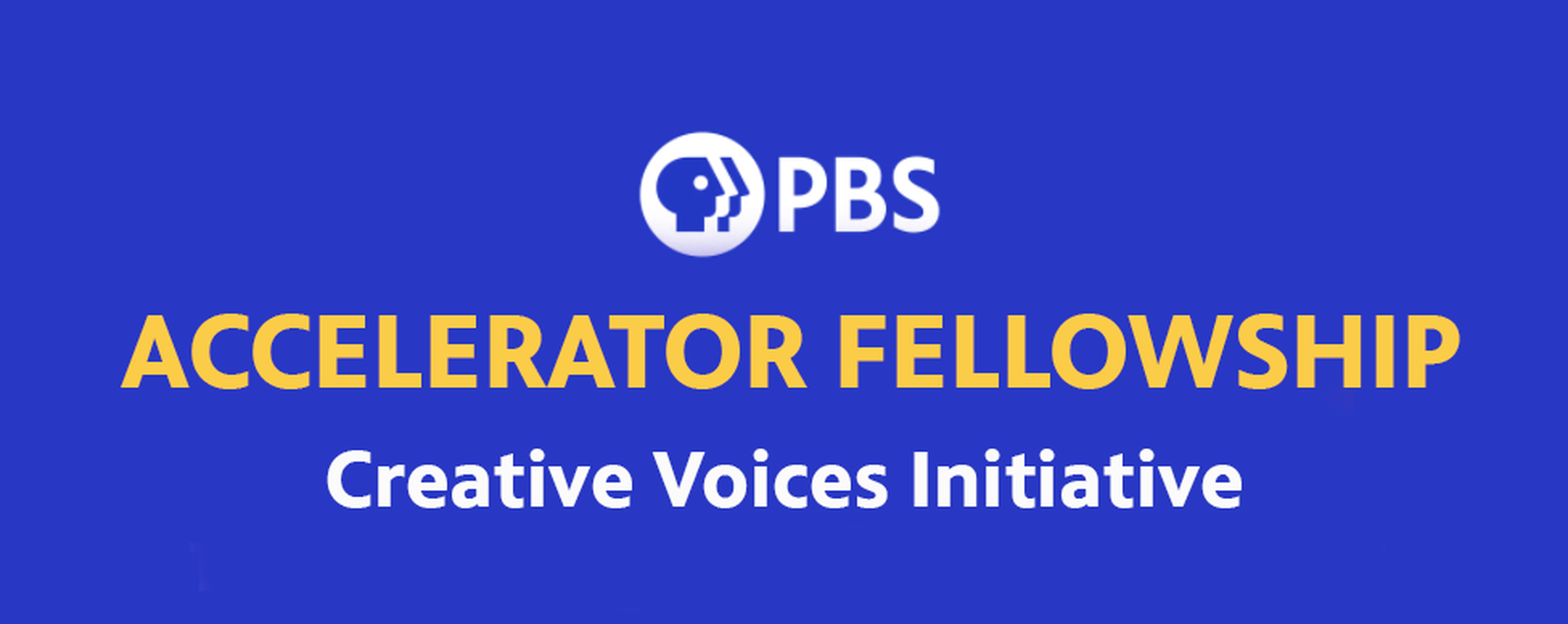 PBS Accelerator Fellowship for Creative Voices