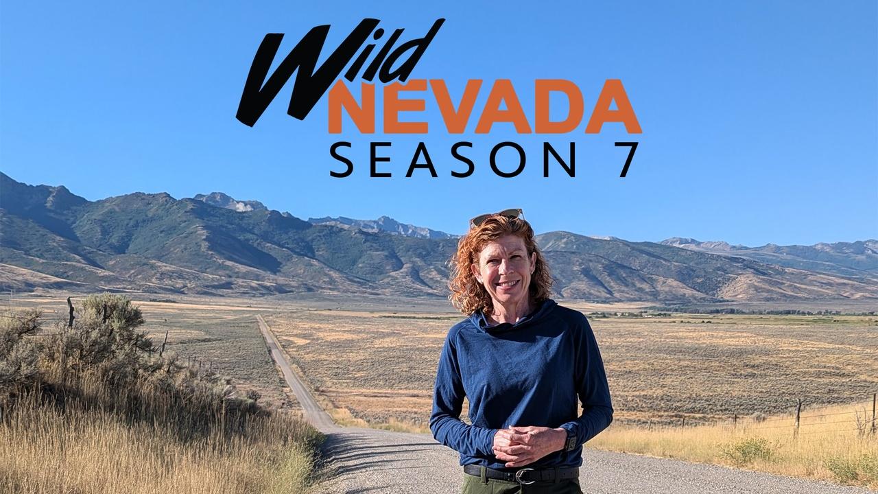Season 7 | Wild Nevada