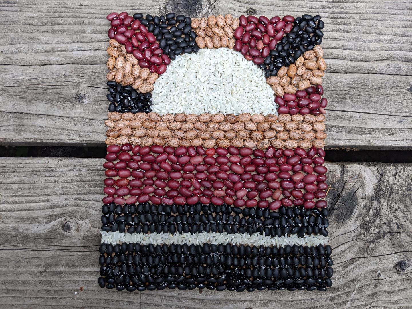 Bean Art Craft