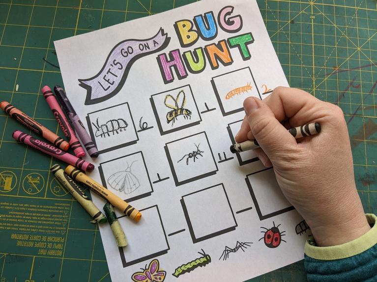 From Missy: We're Going On A Bug Hunt