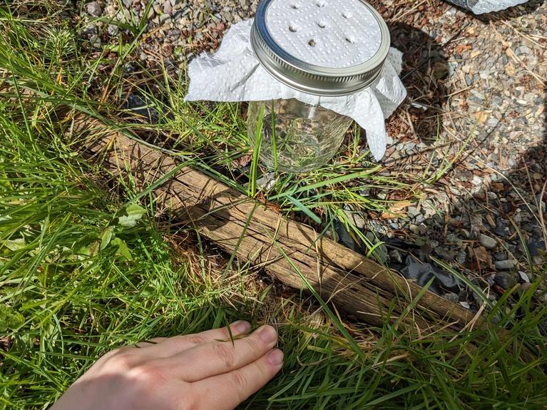 From Missy: We're Going On A Bug Hunt