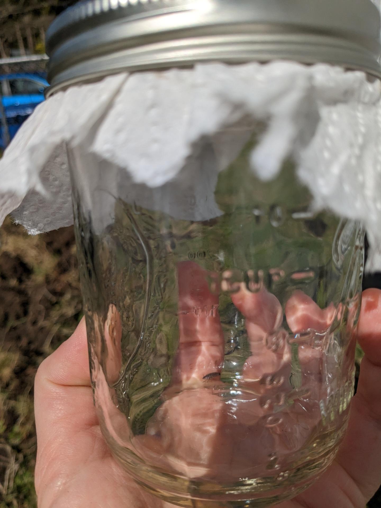 From Missy: We're Going On A Bug Hunt