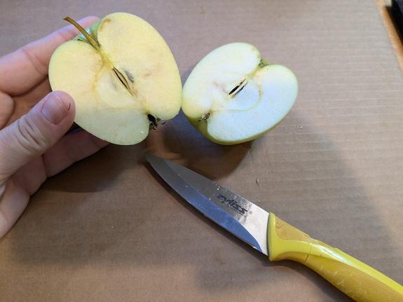Missy's Apple Stamps