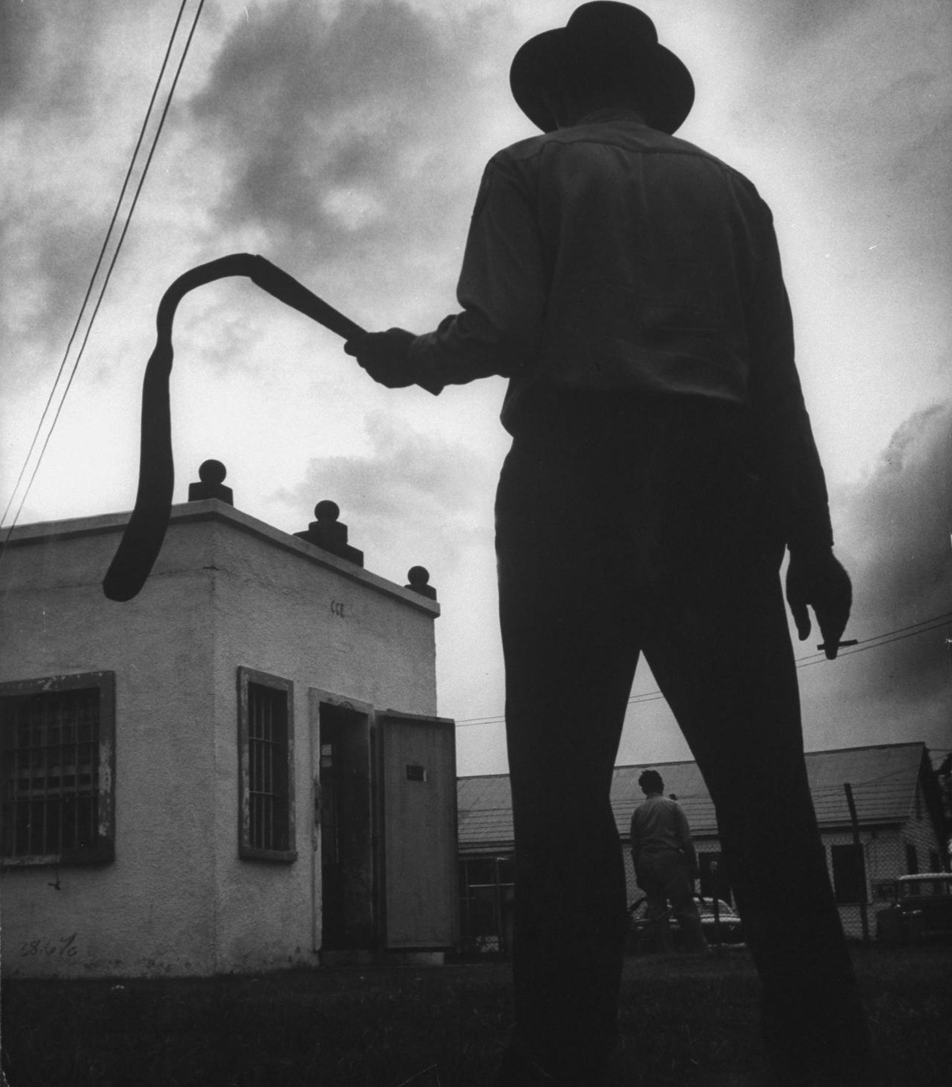 Historic Photos | Themes | Slavery by Another Name | PBS