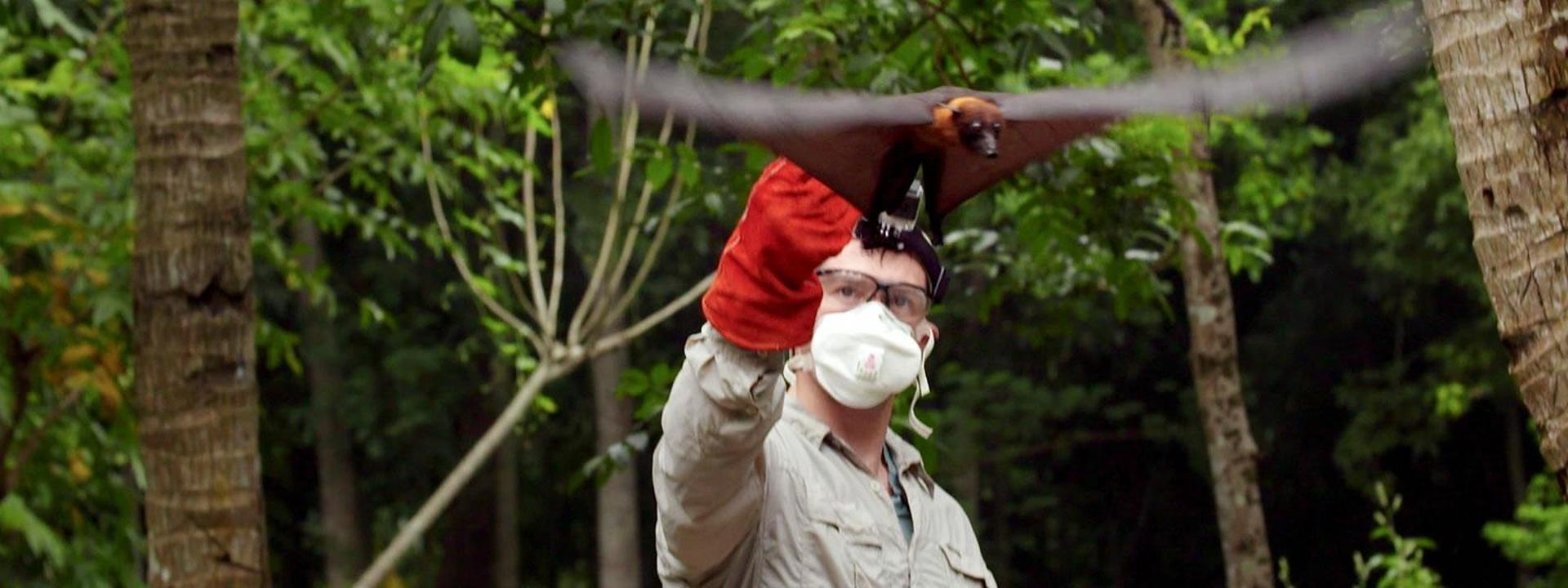 Watch Spillover: Zika, Ebola & Beyond