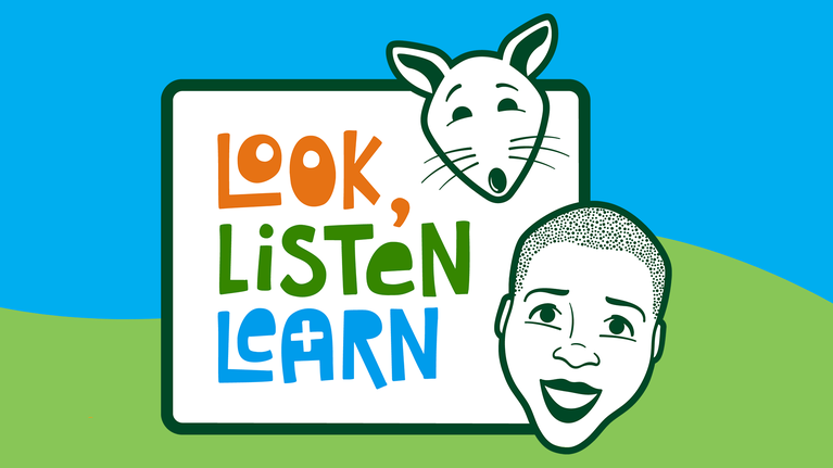 Look, Listen + Learn