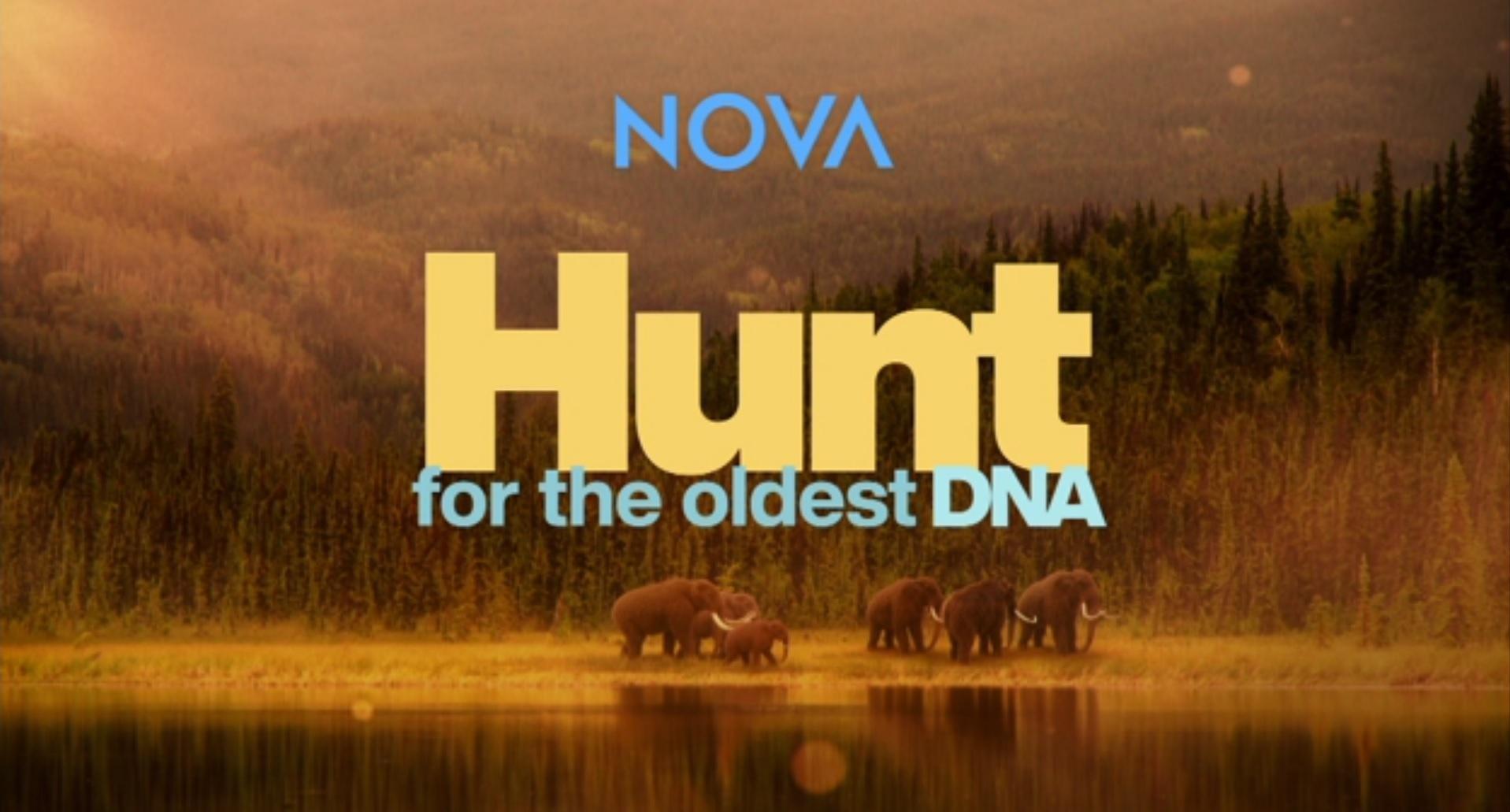 WCMU Public Television