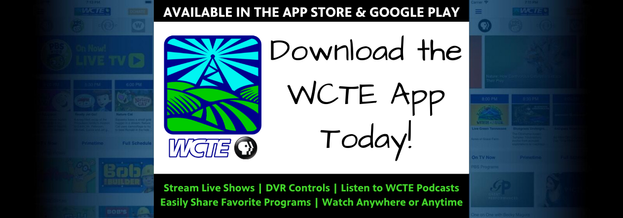 WCTE