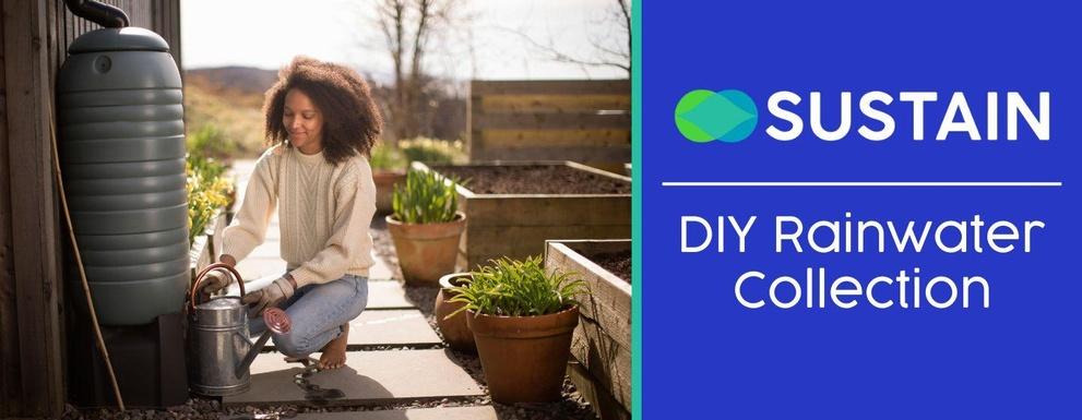 DIY Rainwater Collection | WEDU PBS Sustain