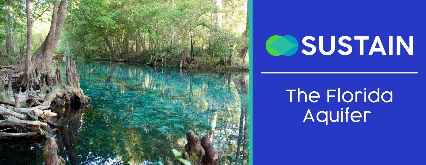 Help sustain the Florida aquifer