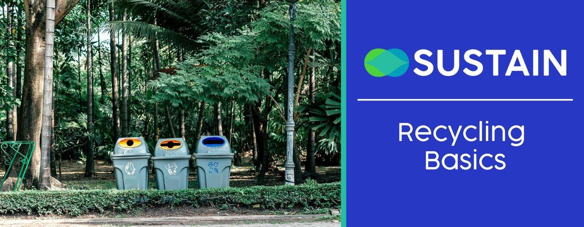 Learn the basics of recycling