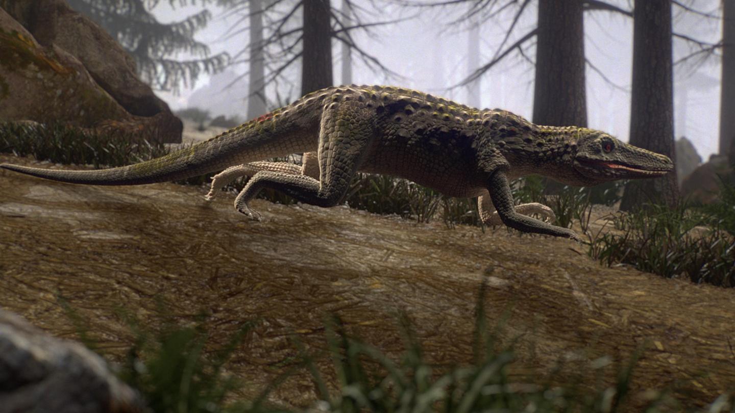 Ancient Crocodiles | When Whales Walked