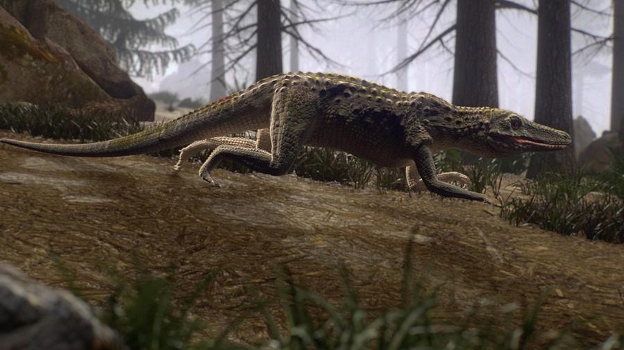 Ancient Crocodiles | When Whales Walked