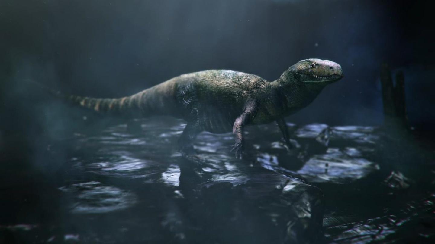 Ancient Crocodiles | When Whales Walked