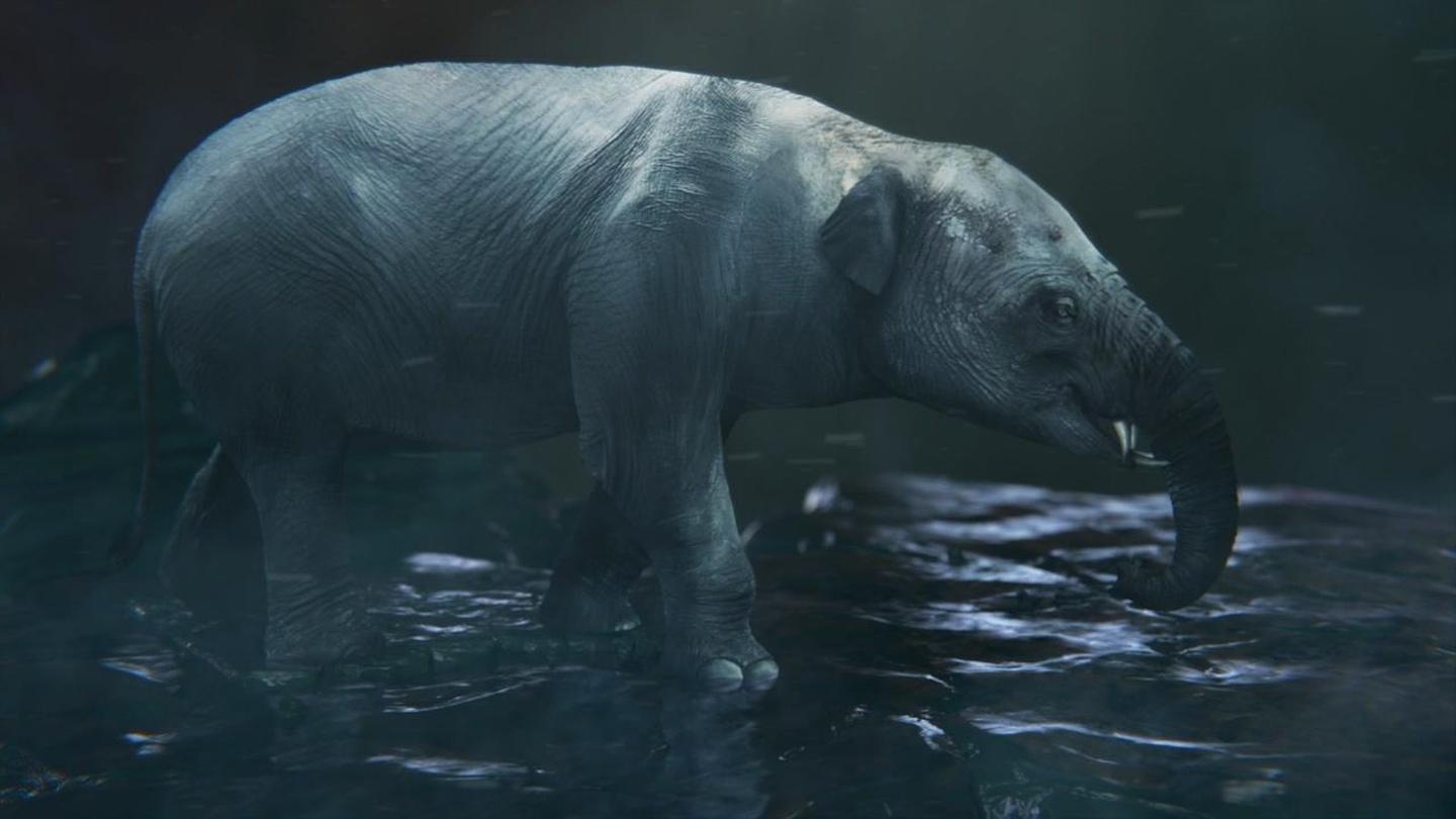 Ancient Elephants | When Whales Walked